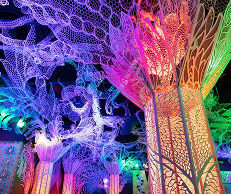 EXPERIENCE PASS + BUNDLES | Choose Your Own Adventure