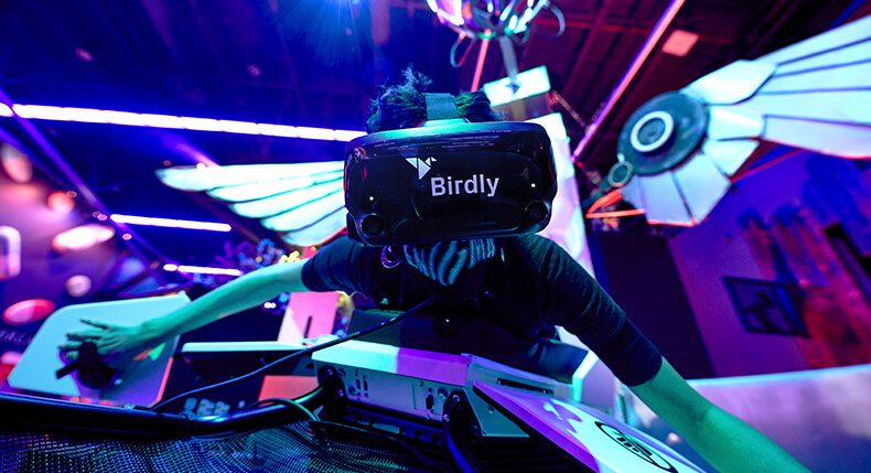 EXPERIENCE PASS + BUNDLES | Choose Your Own Adventure